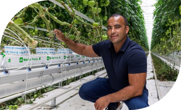 Who We Are – Growtec