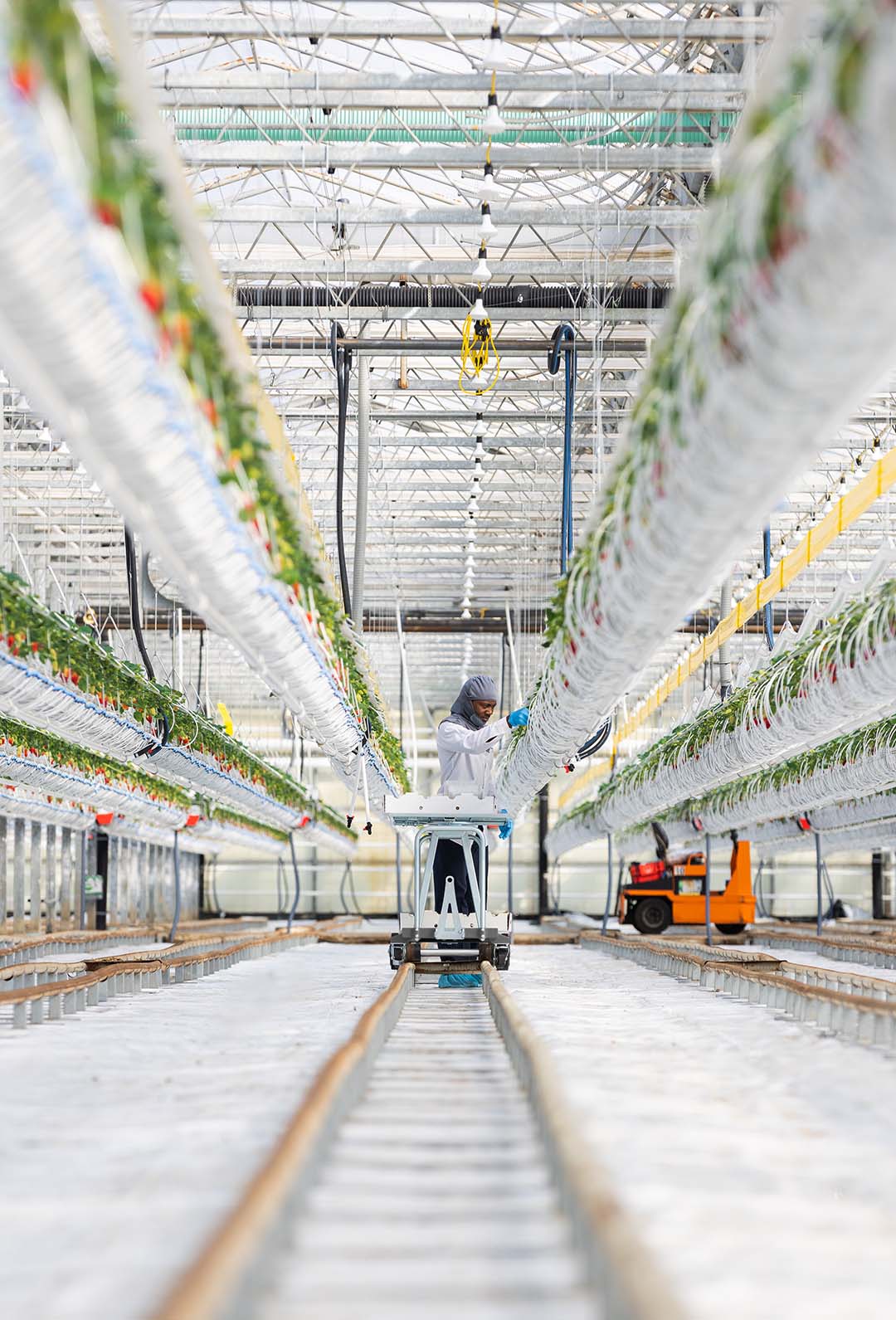 Technology makes a daily difference – Growtec