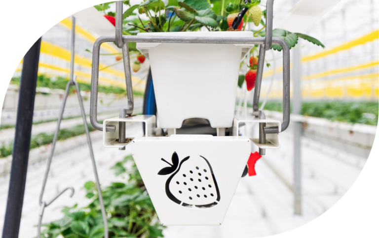 Fruit Growing Systems – Growtec