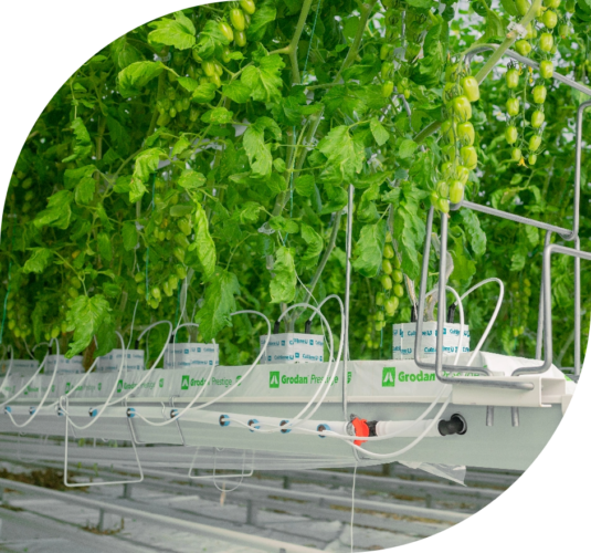 Irrigation Systems – Growtec