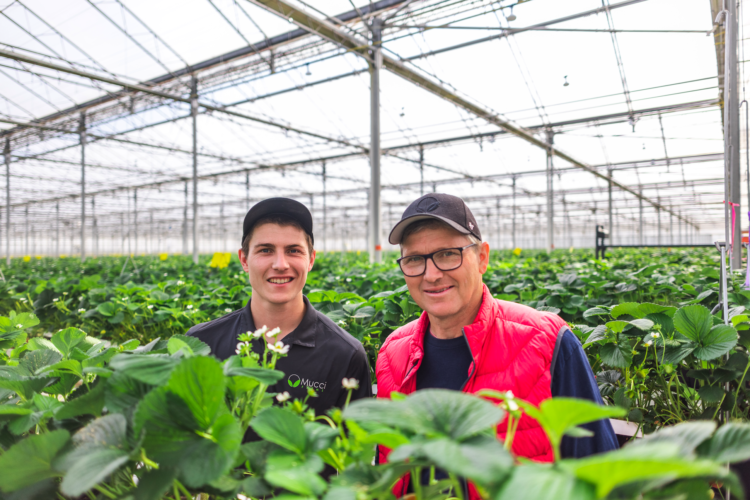 TamBerry Farms – Strawberries – Growtec