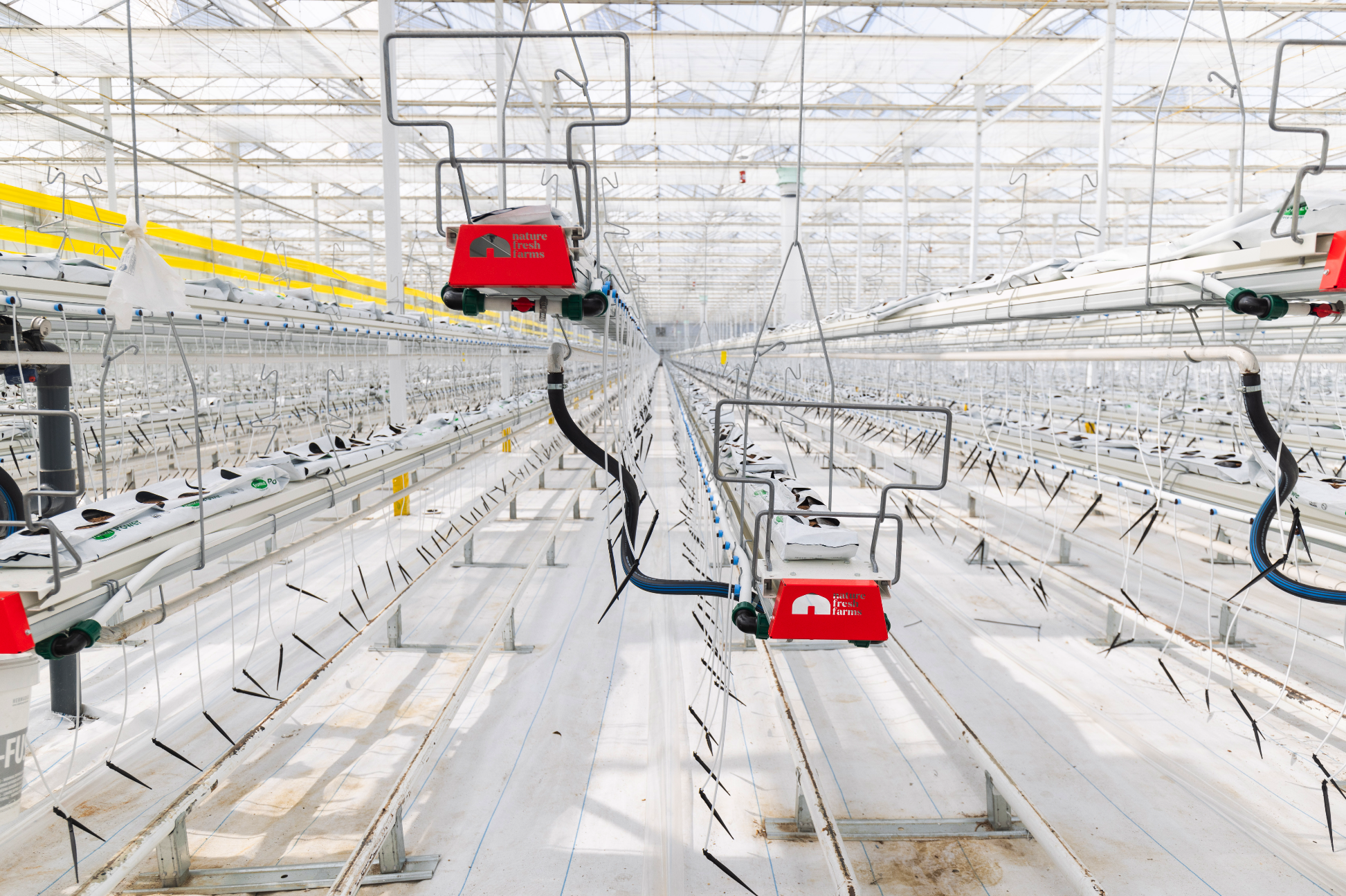 Who We Are – Growtec