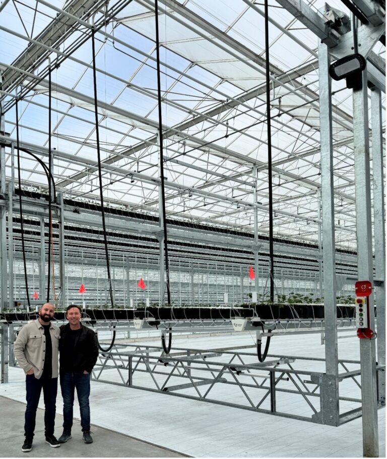 High-Tech State-of-the-Art Strawberry Propagation Greenhouse in North ...